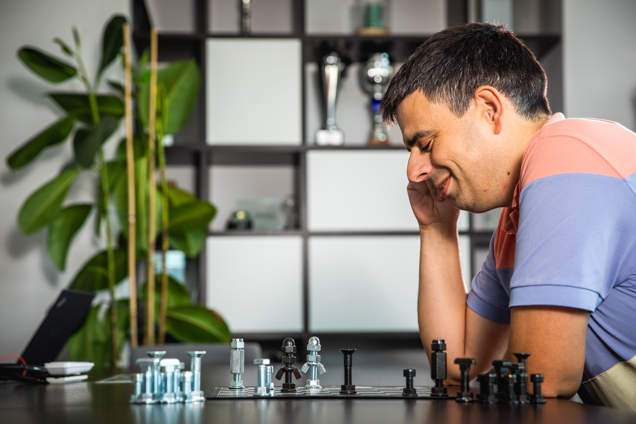 Career as a Solution Consultant in IT company | BE-terna